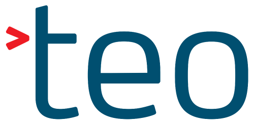 TEO | Our extended team for software development